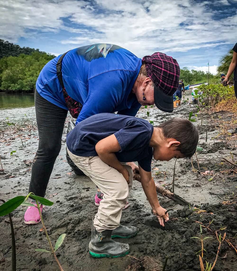 Programs - Misión Tiburón