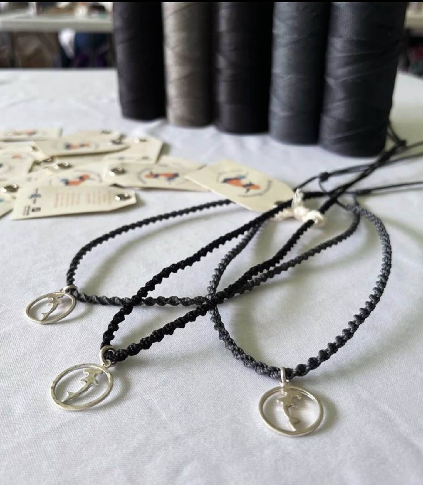 Programs - Misión Tiburón